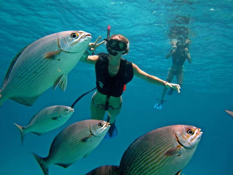 Cozumel: Chankanaab Park Admission+ Snorkel+ Welcome drink - What to Expect at Chankanaab Park