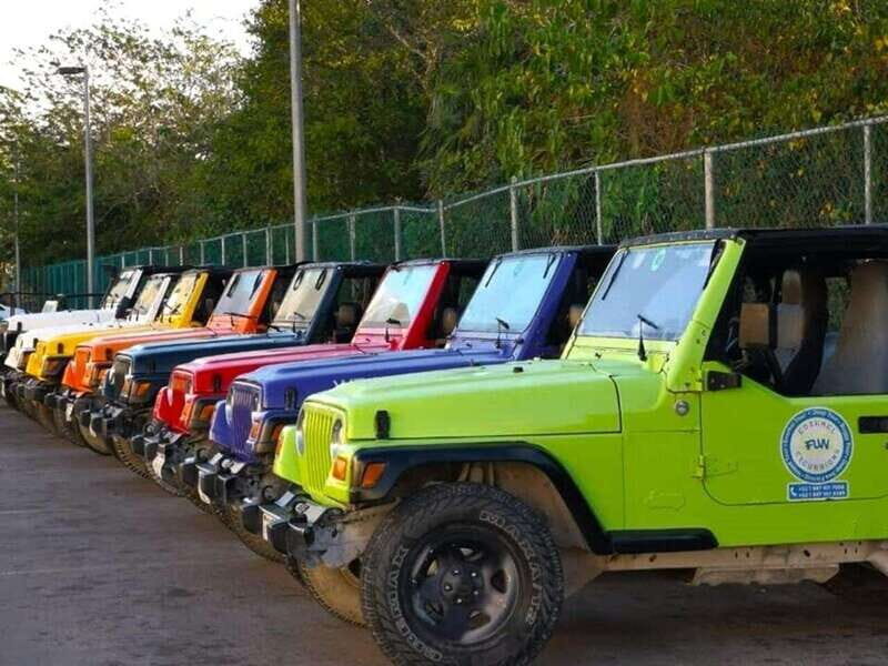 Cozumel: Classic Jeep or Buggy Island Tour to Punta Sur - An In-Depth Look at the Tour Experience