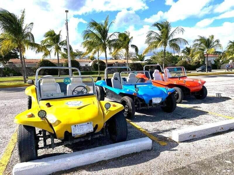 Cozumel: Classic Jeep or Buggy Island Tour to Punta Sur - Authenticity & Review Highlights