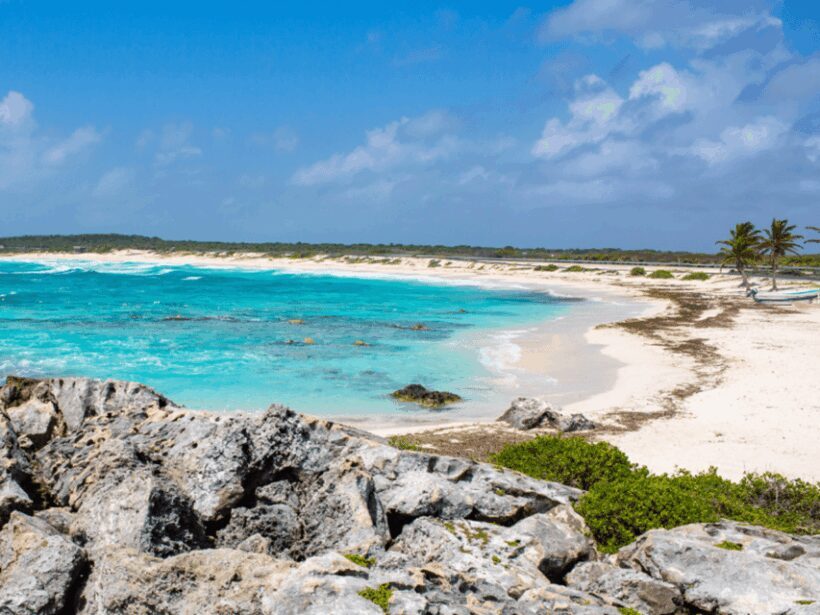 Cozumel: Classic Jeep or Buggy Island Tour to Punta Sur - Who Will Love This Tour?