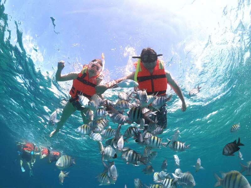 Cozumel: Clear Boat & Snorkel Tour - What’s Included and What You Can Expect