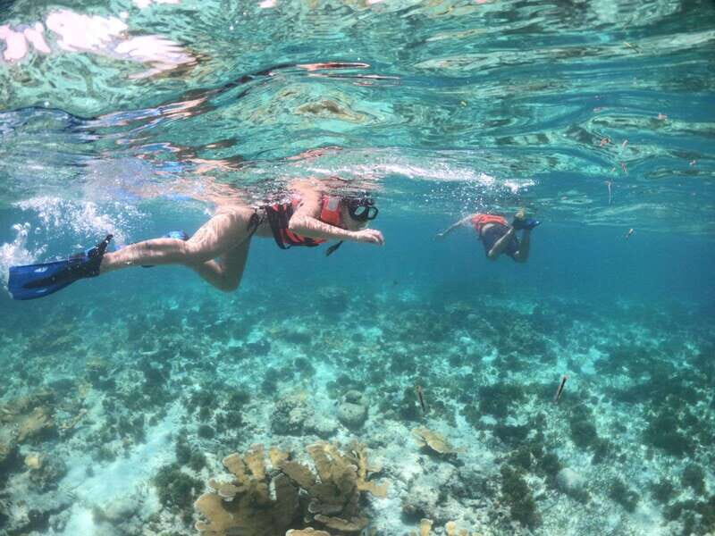 Cozumel: Clear Boat & Snorkel Tour - The Experience Provider and Similar Tours