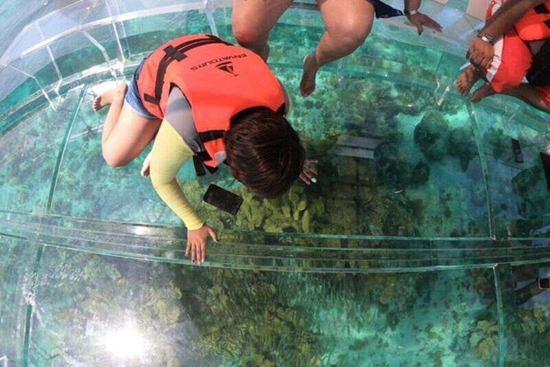 Cozumel: Clearboat in Cozumel + Snorkel + Refreshments!! - Who Should Book This Tour?