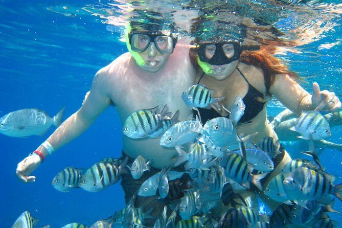Cozumel Coral Reef Snorkeling by Glass Bottom Boat with Guide - Final Thoughts: Who Should Book This Tour?