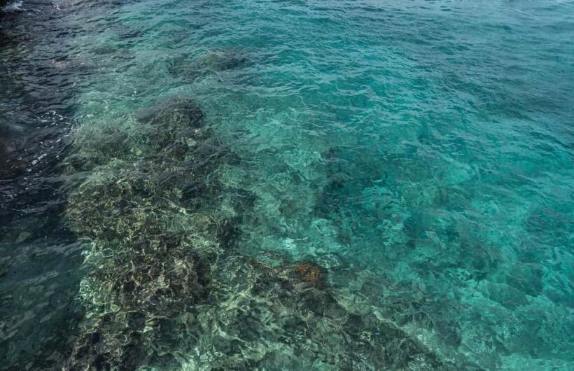 Cozumel: Day at El Cielo Bay - An In-Depth Look at the Tour Experience