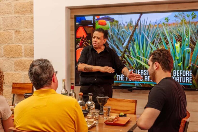 Cozumel: Degustación Maya Mezcal and Tequila - Key Points