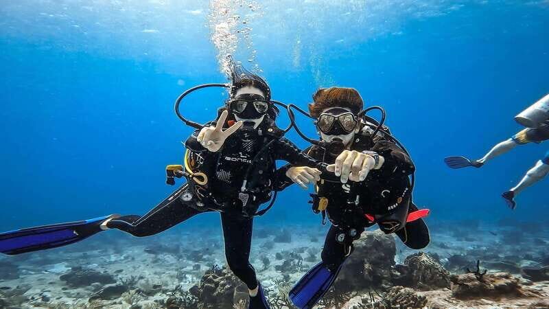 Cozumel: Discover Scuba Diving for Non-Certified Divers - Key Points
