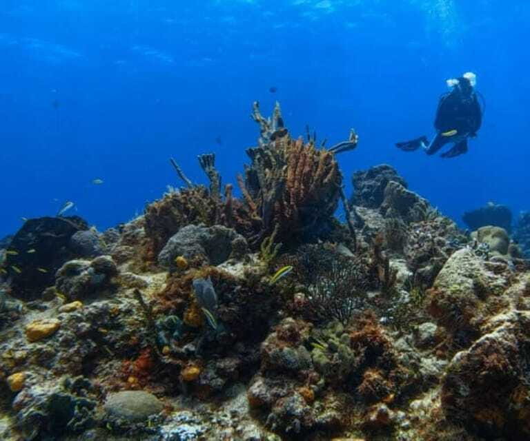 Cozumel: Discover Scuba Diving - Additional Practical Details