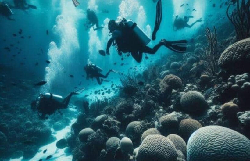 Cozumel: Discovery Scuba Diving. No experience required. - The Marine Park and the Coral Reefs