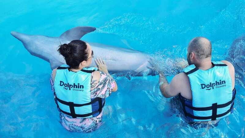 Cozumel: Dolphin Royal Swim and Manatee Interaction - FAQ