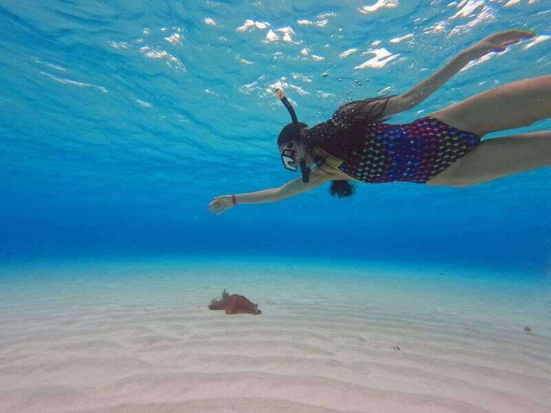 Cozumel, El Cielo: 4-Hour Private Tour - Final Thoughts