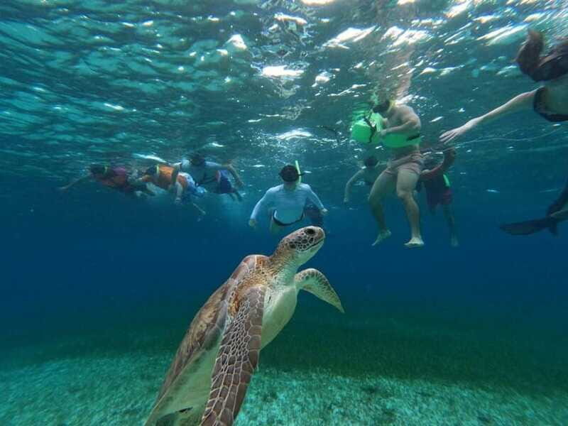 Cozumel, El Cielo: 4-Hour Shared Snorkeling Tour - Summary: Who Should Consider This Tour?