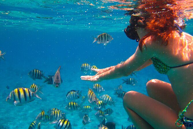 Cozumel El Cielo All Inclusive Tour from Cancun - Final Thoughts