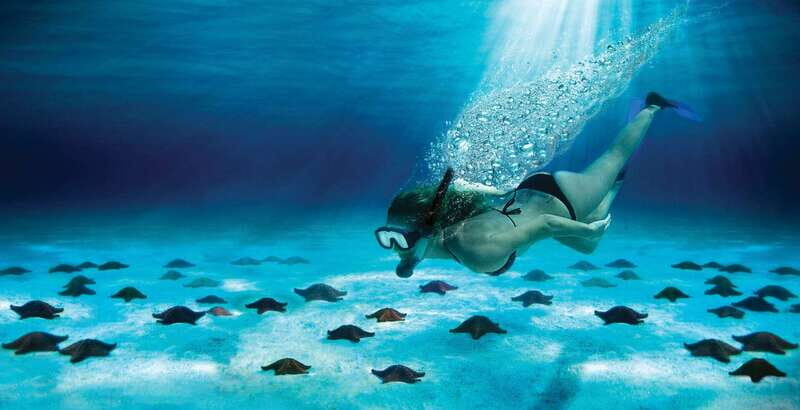 Cozumel: El Cielo & Palancar Snorkel with Open Bar & Ceviche - The Itinerary: What to Expect from Start to Finish