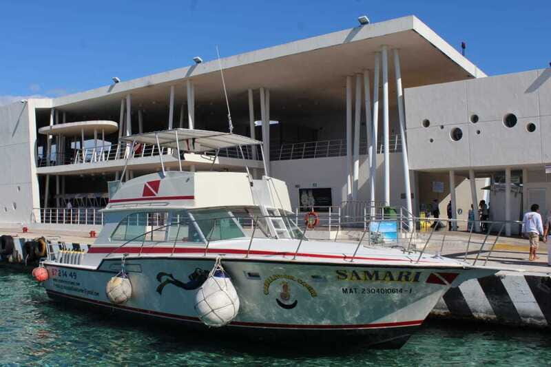 Cozumel: El Cielo & Palancar Snorkel with Open Bar & Ceviche - Meeting, Groups, and Flexibility