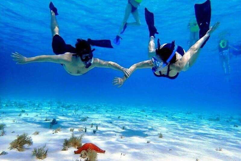 Cozumel El Cielo Sandbar and Reef Snorkeling Tour - Key Points