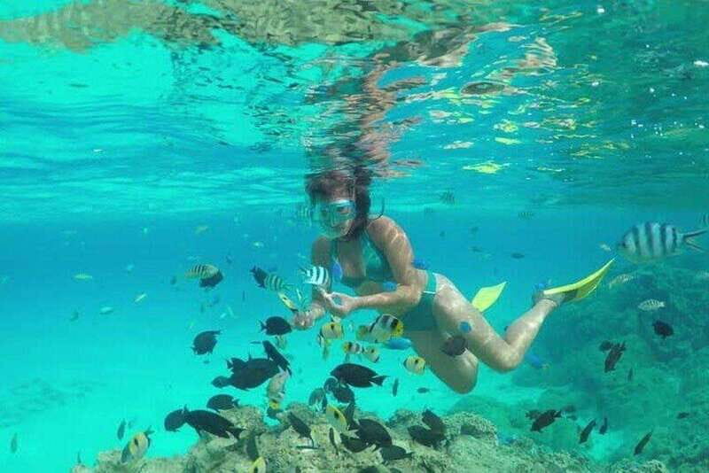 Cozumel El Cielo Sandbar and Reef Snorkeling Tour - An In-Depth Look at the Tour