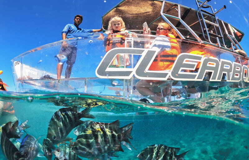 Cozumel: Excursion Crystal Boat Tour with Snorkel & Drinks - Key Points