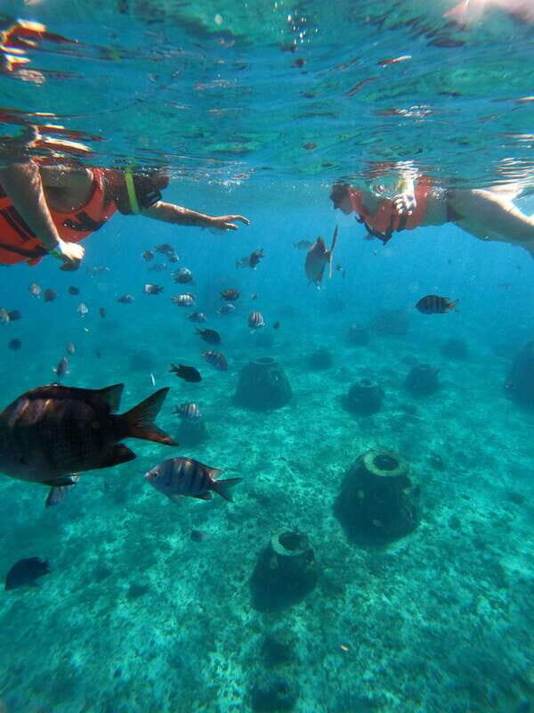 Cozumel: Excursion Crystal Boat Tour with Snorkel & Drinks - The Itinerary: An Easy, Visual Journey