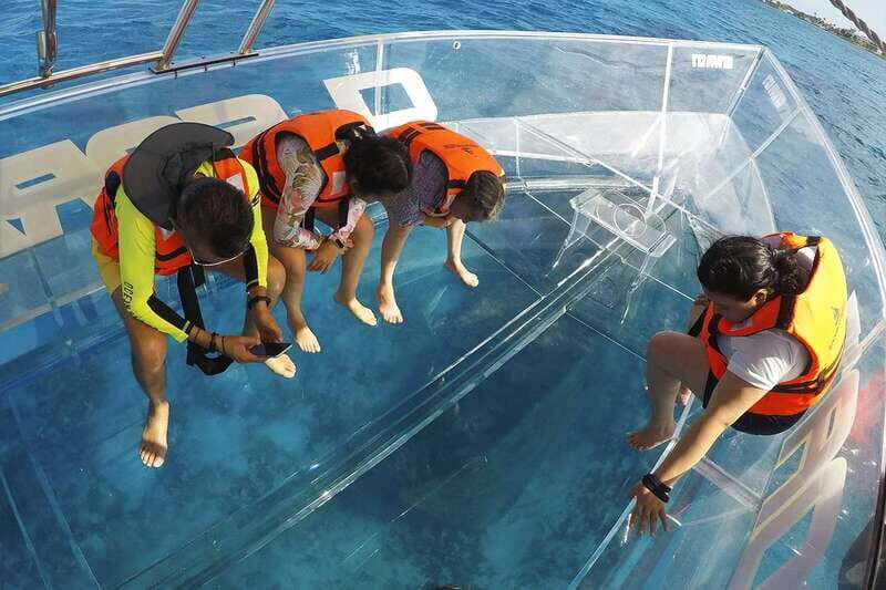 Cozumel Experience: ATV Wild Ride and Clear Boat Adventure - Cultural Twist: Mexican Tequila Tasting and Learning