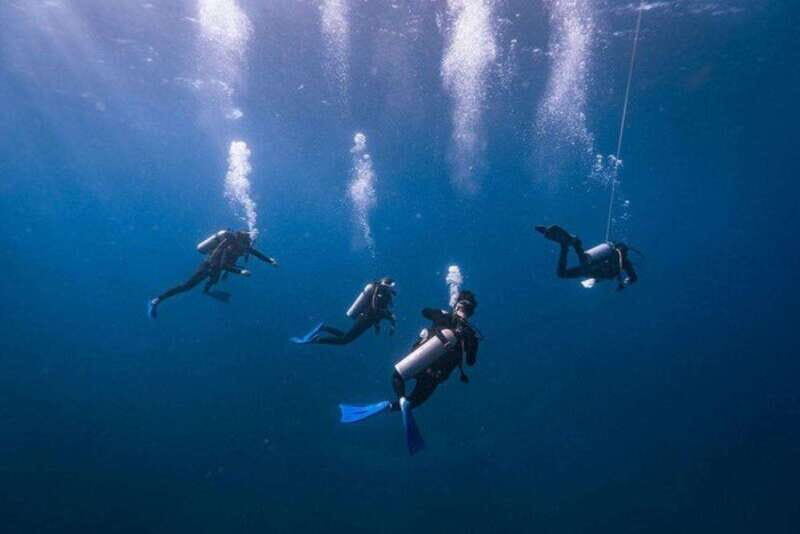Cozumel: Fun Dive Adventure for Certificates - The Experience in Focus