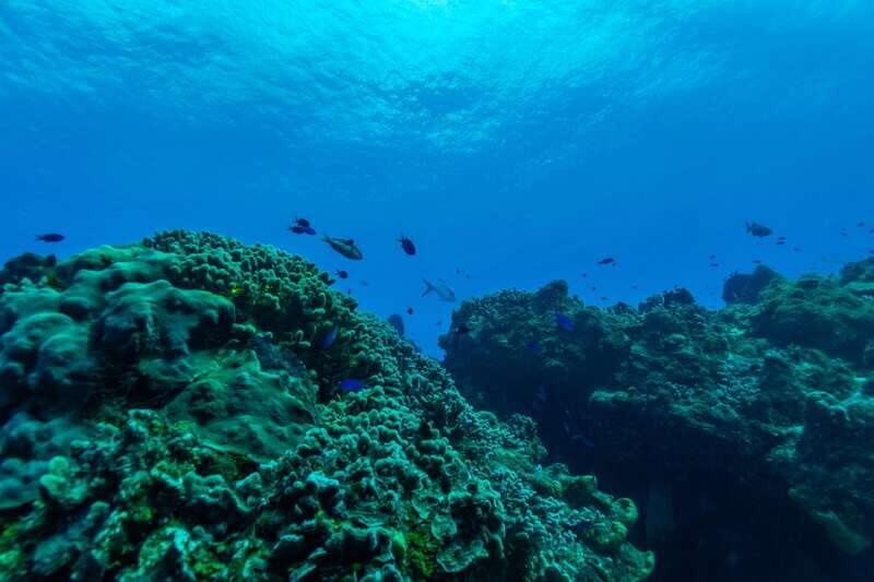 Cozumel: Fun Dive Adventure for Certificates - What’s Included and What’s Not