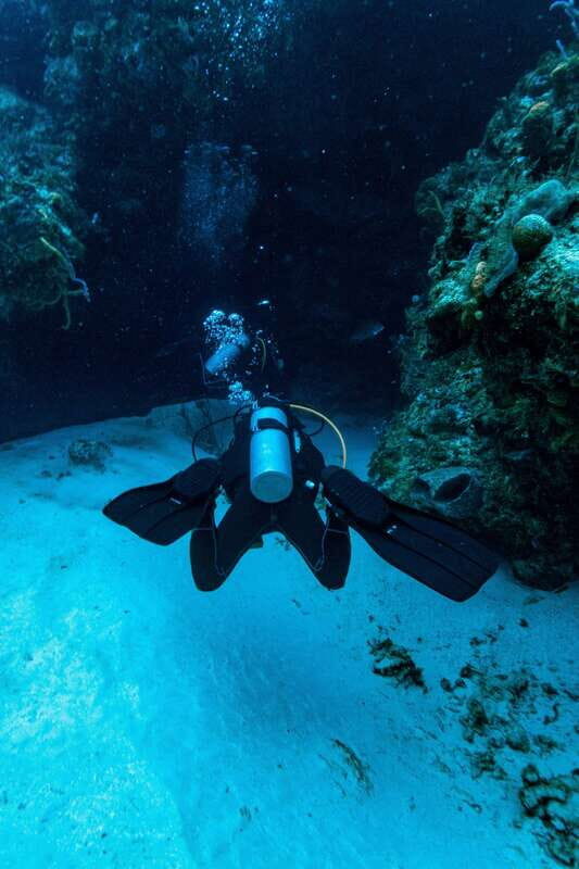 Cozumel: Fun Dive Adventure for Certificates - Practical Details and Participant Considerations