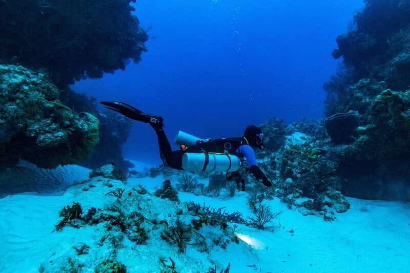 Cozumel: Fun Dive Adventure for Certificates - Why This Tour Is Worth It