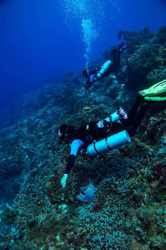 Cozumel: Fun Dive Adventure for Certificates - Who Will Love This Tour?