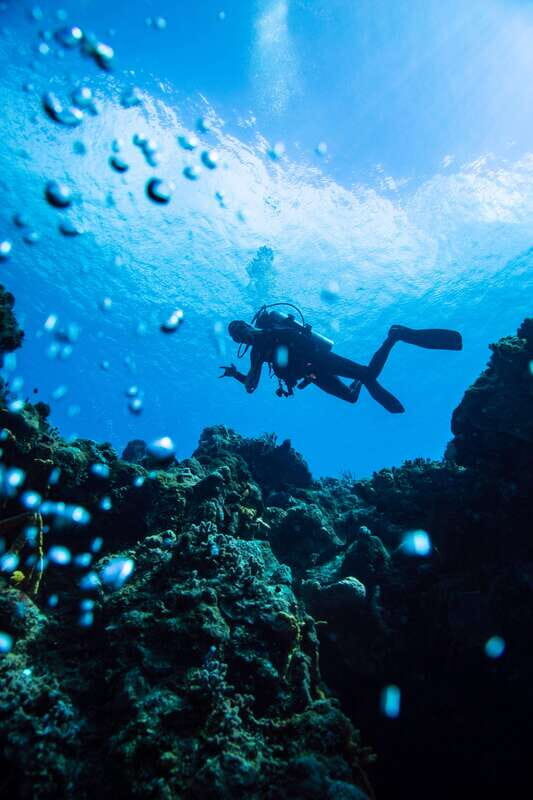 Cozumel: Fun Dive Adventure for Certificates - Final Thoughts