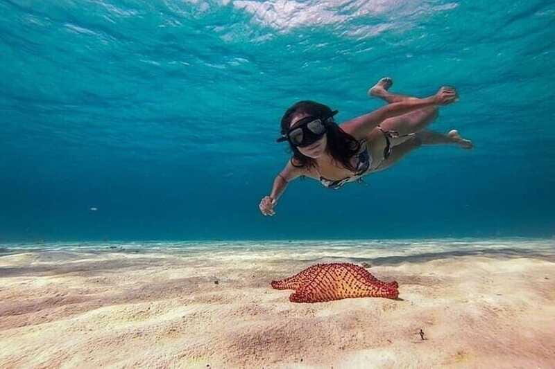 Cozumel: Glass-bottom Boat Snorkeling Adventure - Value for Money