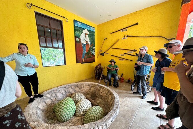 Cozumel History Flavors and Beach - A Closer Look at the Experience