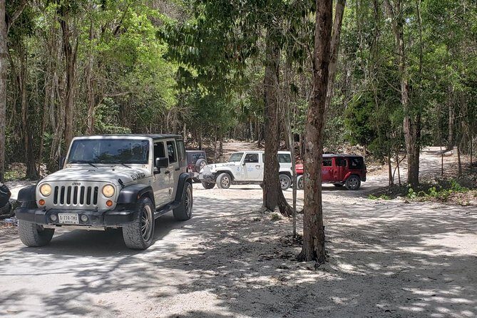 Cozumel Jeep Adventure to Jade Caverns with Lunch and Snorkel - Rancho Alejandra: Tequila Tasting and Learning