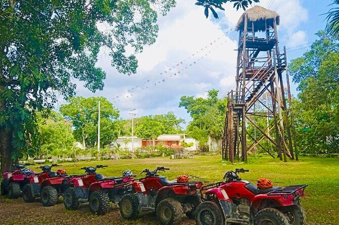 Cozumel Jungle ATV Adventure and Unlimited Beach Break - Who Should Consider This Tour?