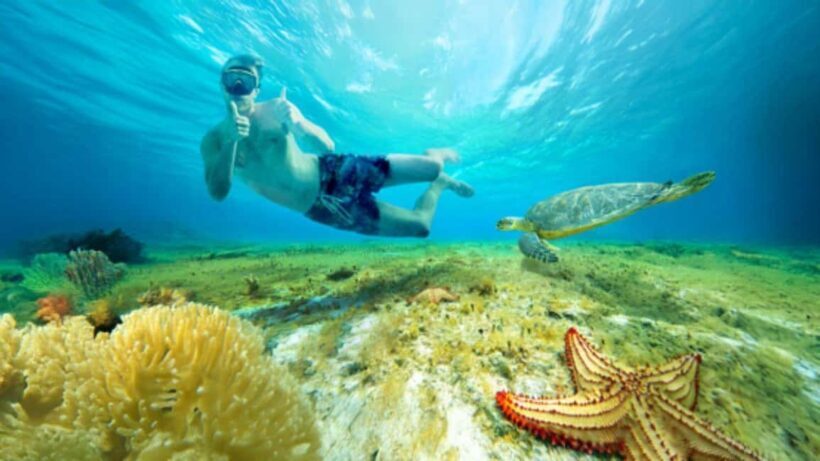 Cozumel, KUZÁ Beach & Adventure Park Deluxe Pass & El Cielo - Key Points