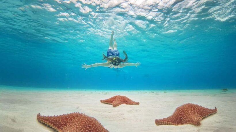 Cozumel, KUZÁ Beach & Adventure Park Deluxe Pass & El Cielo - Who Should Consider This Tour?
