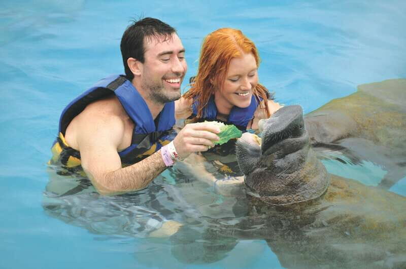 Cozumel: Manatee Encounter, Chankanaab Admission and Buffet - Key Points