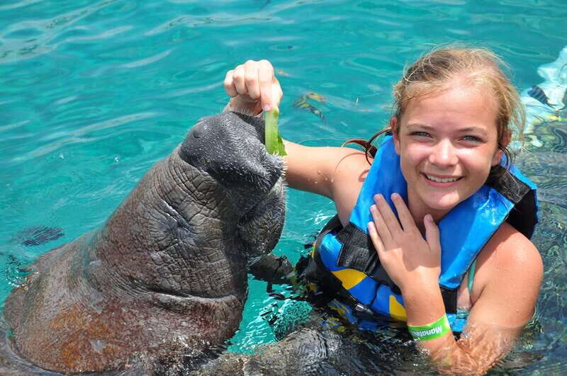 Cozumel: Manatee Encounter, Chankanaab Admission and Buffet - An In-Depth Look at the Tour Experience