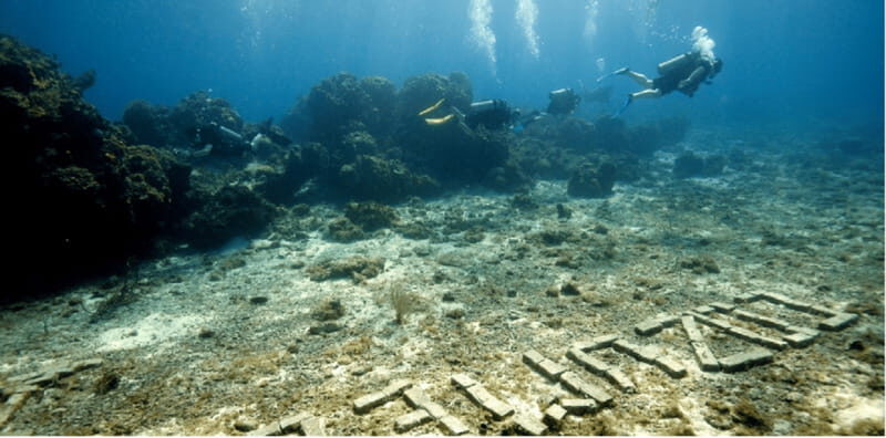 Cozumel: Ocean Dive - FAQ