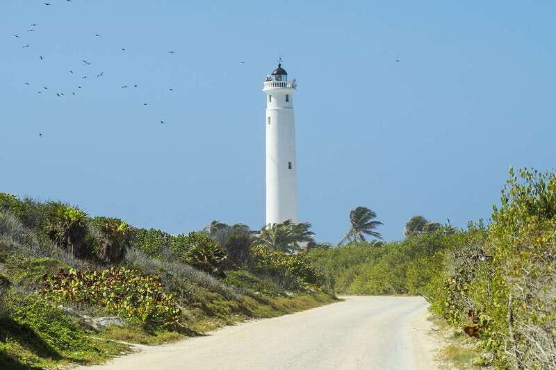 Cozumel: Off-road Adventure to Punta Sur and Clear Boat Ride - Introduction