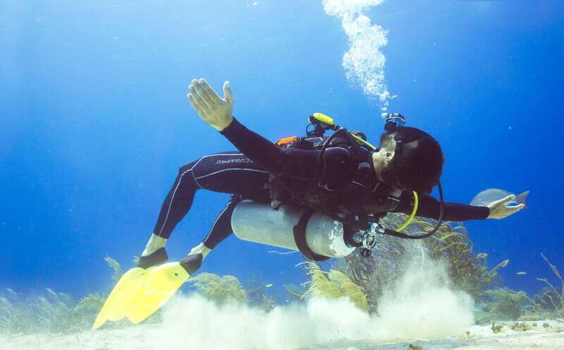 Cozumel: One Tank Scuba Dive and Full Chankanaab Park Access - Introduction: An Honest Look at the Cozumel Scuba Experience