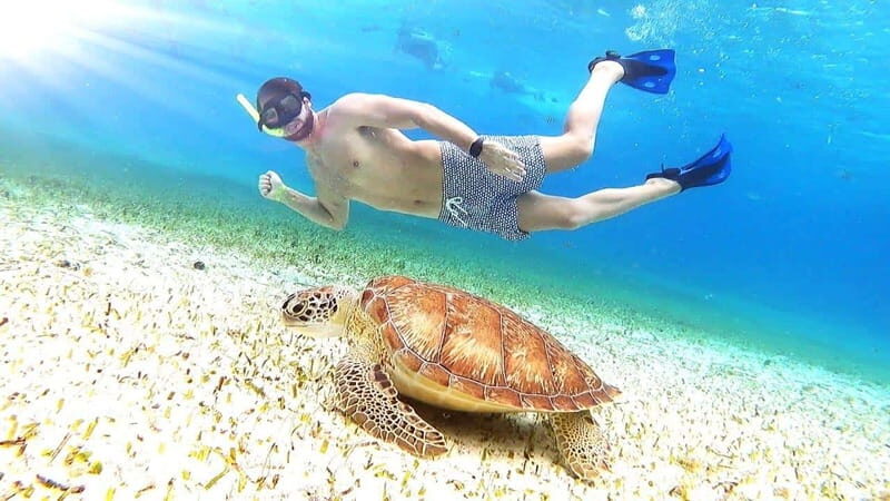 Cozumel: Palancar, Columbia and Cielo Reefs Snorkeling Tour - Key Points