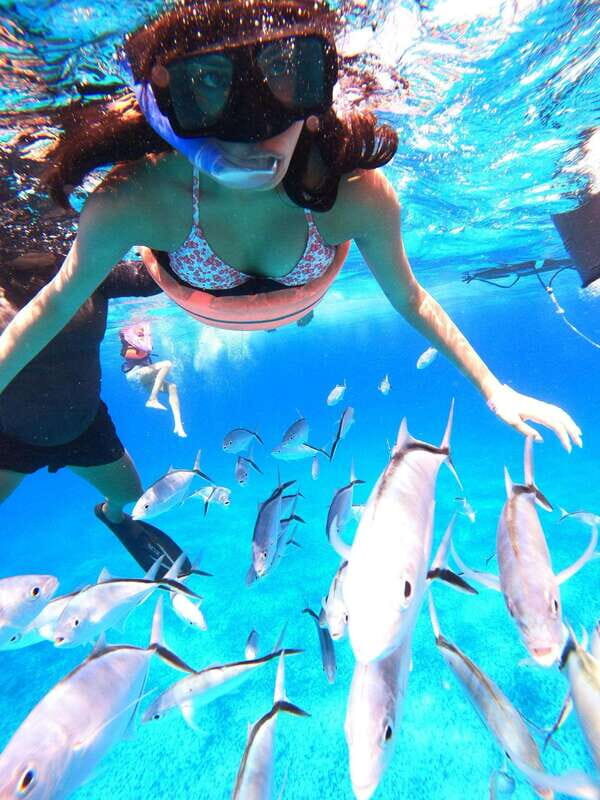 Cozumel: Palancar, Columbia and Cielo Reefs Snorkeling Tour - The Sum Up