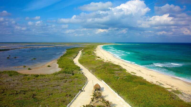 Cozumel Parks: Chankanaab, Punta Sur, San Gervasio+Transport - Who Is This Tour Best For?