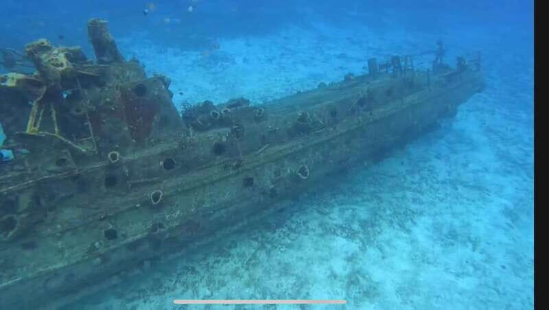 Cozumel, Passion Island: 4-Hour Private Tour - An Authentic, Personalized Cozumel Adventure