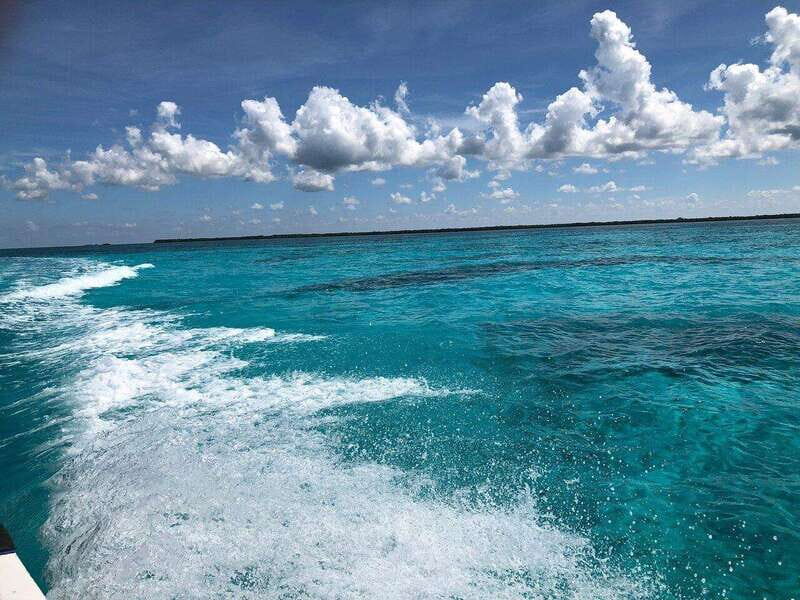 Cozumel, Passion Island: 4-Hour Private Tour - Authenticity and Local Expertise