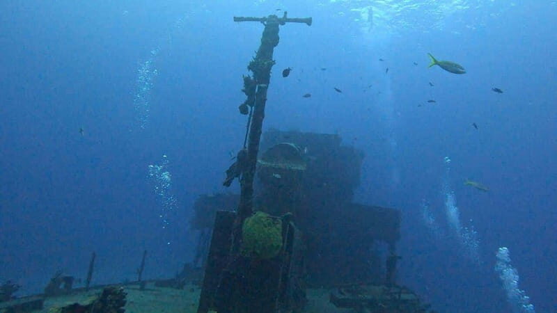 Cozumel, Passion Island: 4-Hour Private Tour - FAQ