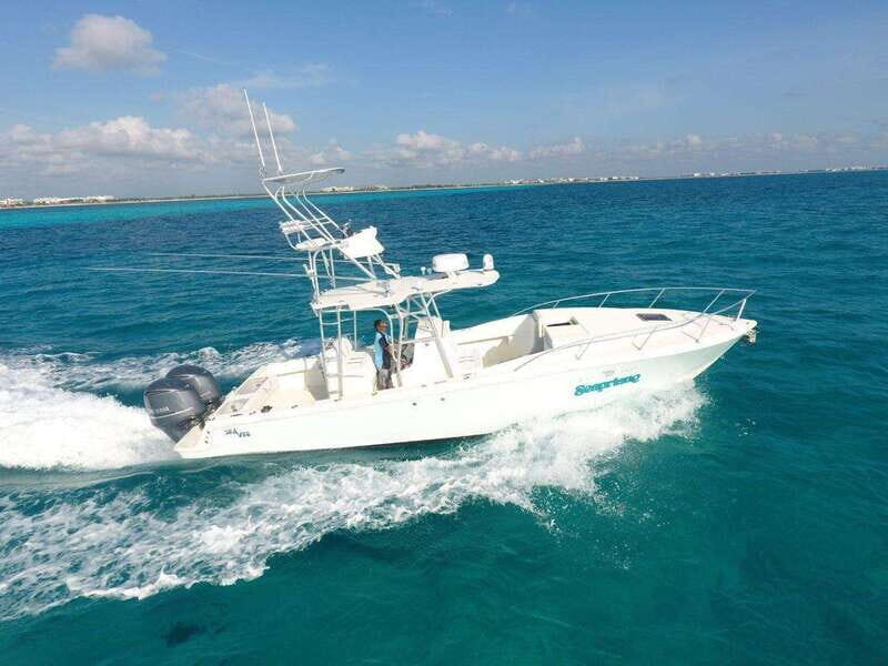 Cozumel: Premium Experience Aboard your Private Boat - Why Choose This Tour?