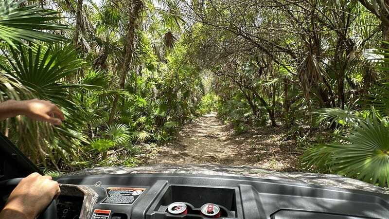 Cozumel: Private All Terrain Buggy Adventure at Virgin Beach - Final Thoughts