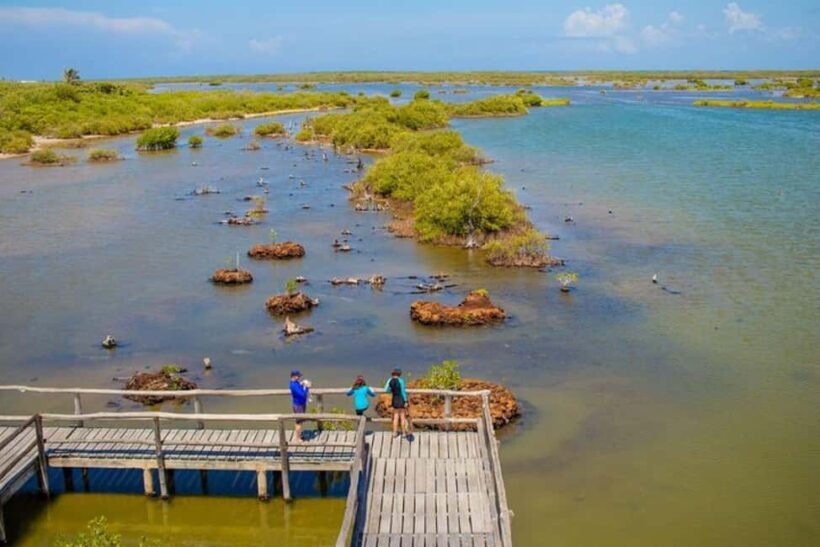 Cozumel: Private Buggy Tour to Punta Sur Park All Inclusive - Key Points